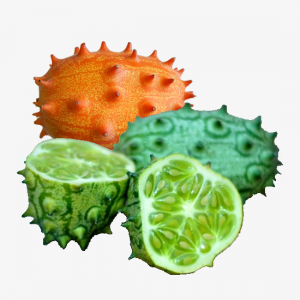 Products – Fruits of Africa